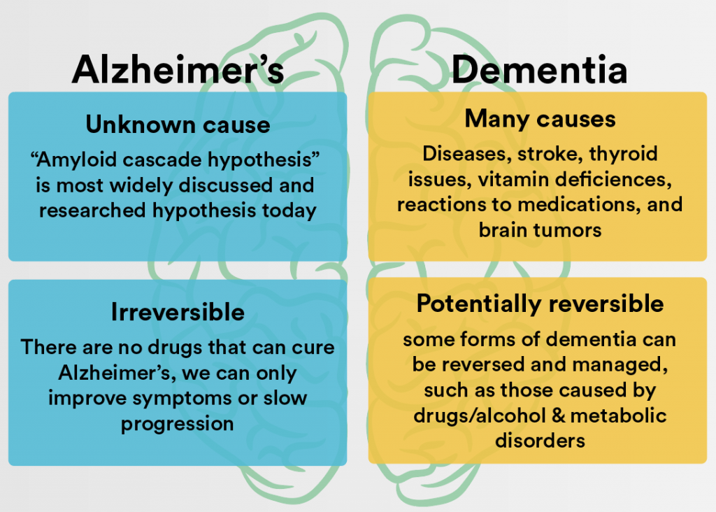 Whats The Difference Debunking Dementia And Alzheimers Homage Malaysia